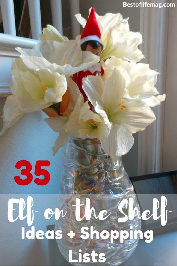 Elf on the Shelf Shopping List for 35 Ideas - Best of Life Magazine