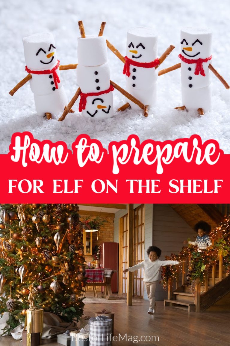 Elf on the Shelf Shopping List for 35 Ideas - Best of Life Magazine