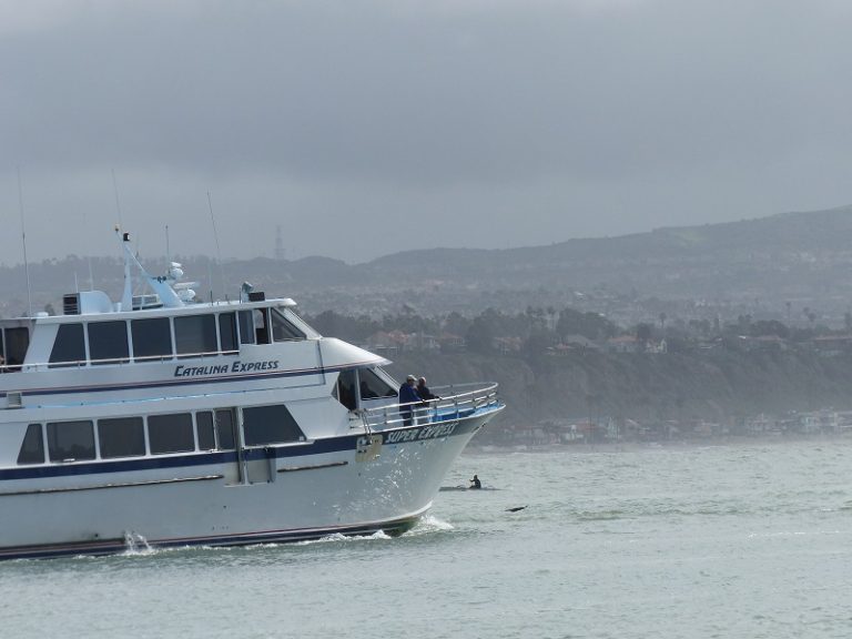 Catalina Island Boating Tips: Moorings, Anchorages, & More