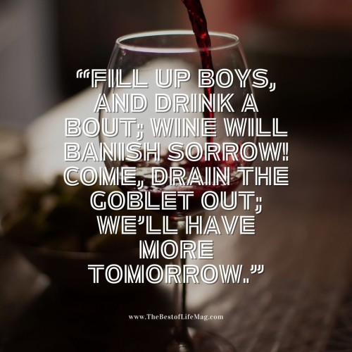 10 Best Wine Toast Quotes To Say Cheers To
