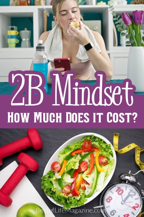 2B Mindset Cost | How Much does 2B Mindset Cost?